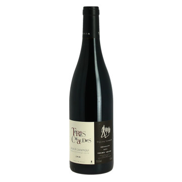 Buy VAT FREE Saumur Champigny Terres Chaudes Domaine des Roches Neuves ...