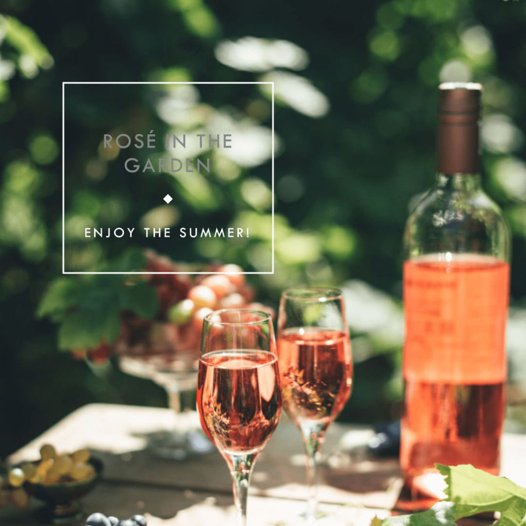 Discover the Essence of Côtes de Provence: Rosé Wines for a Memorable ...